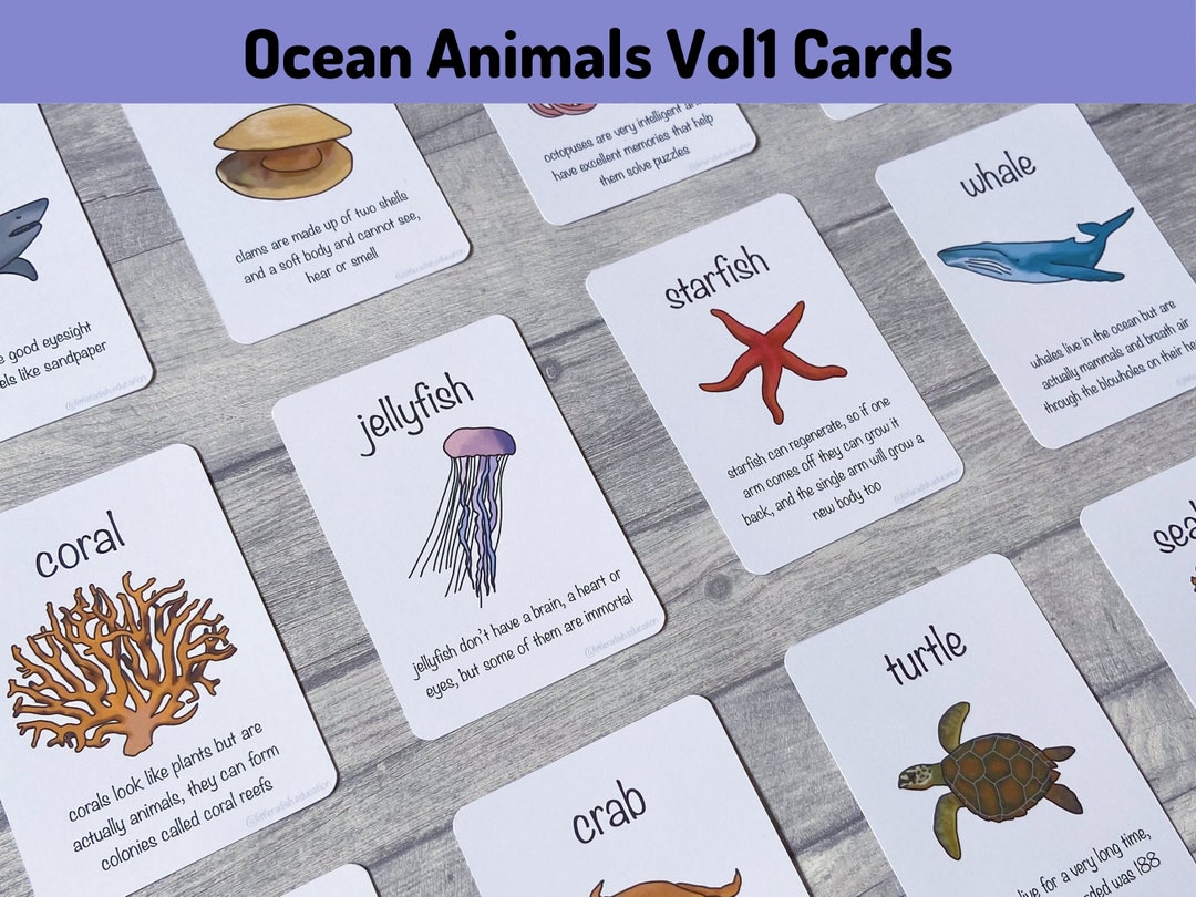 Printable Ocean Animals Vol 1 Cards Teaching Learning - Etsy Australia