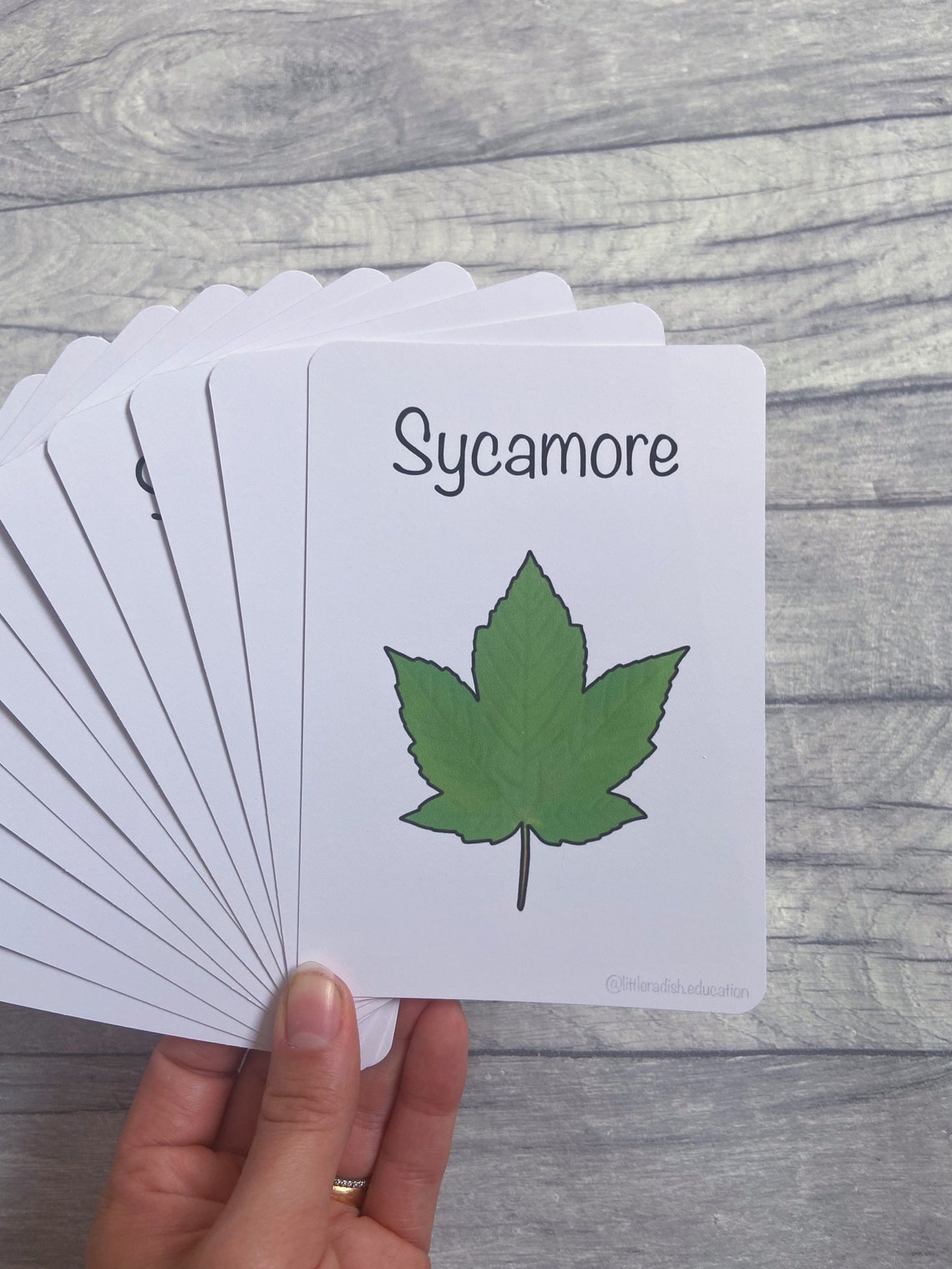 Printable Leaf Flashcards Nature Educational Learning - Etsy