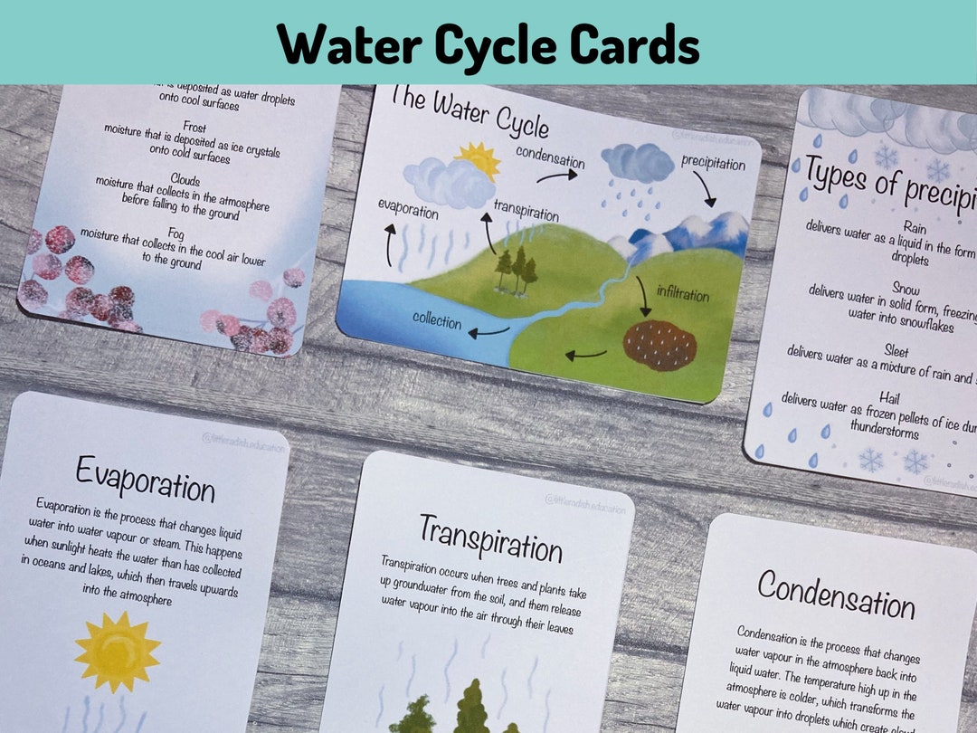 Water Cycle Cards Printable, Geography Teaching Learning Resources ...