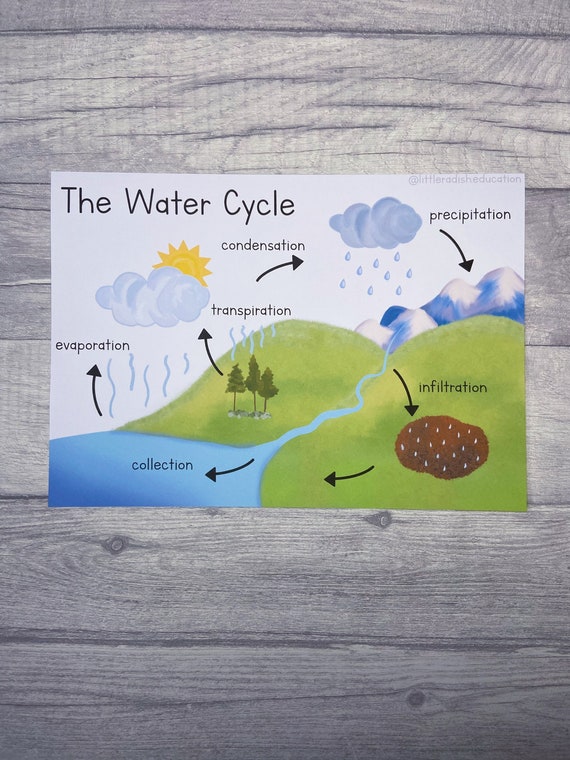 Water Cycle Diagram For Kids Printable