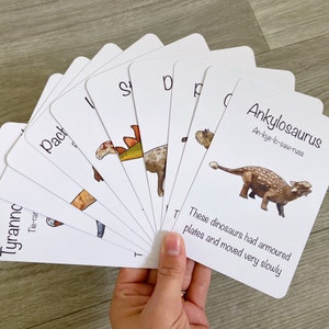 Dinosaur Vol 1 Flashcards Printable, Educational Learning Resources ...