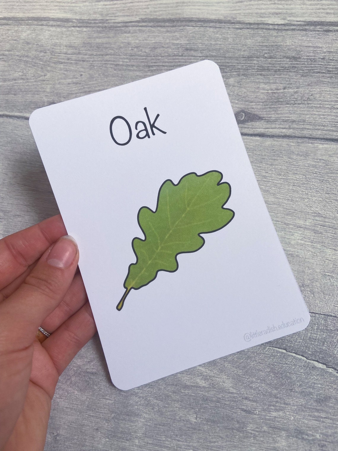 Printable Leaf Flashcards Nature Educational Learning - Etsy