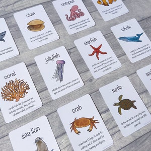 Printable Ocean Animals Vol 1 Cards Teaching Learning - Etsy Australia