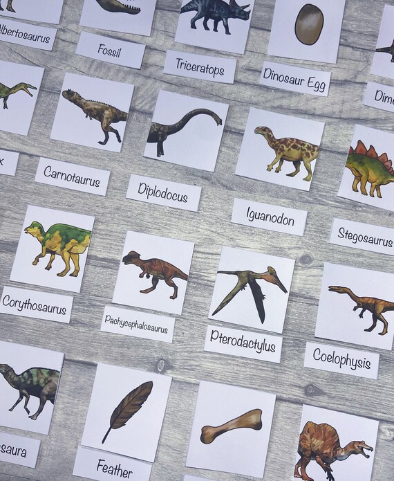 Printable Dinosaur Counters Activity Game Preschool Dino - Etsy