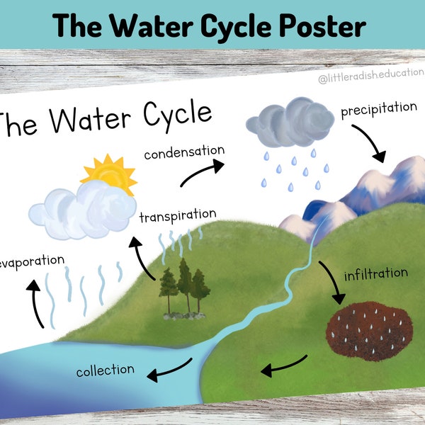 Water Cycle - Etsy