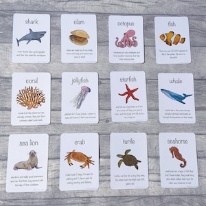 Printable Ocean Animals Vol 1 Cards Teaching Learning - Etsy Australia