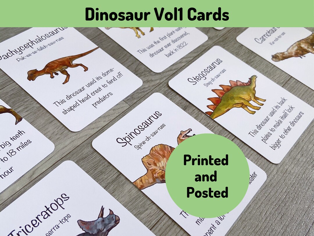 Dinosaur Vol 1 Flashcards, Dino Fact Cards, Teaching Learning Resources ...