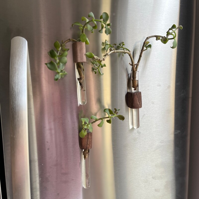 Propagation Tubes - Etsy