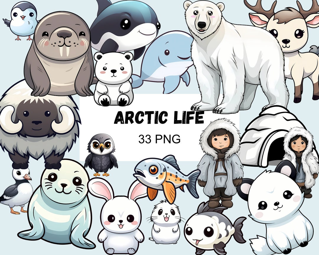 Arctic Animal Clipart Cute Wild Animal PNG Sticker Kids Clipart School ...