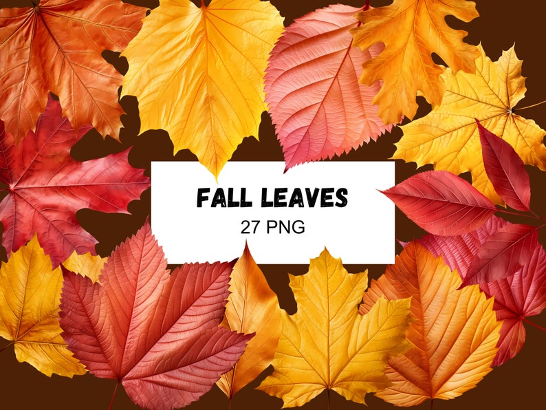 Fall Leaves Clipart, Autumn, Transparent Background PNG, Commercial Use ...