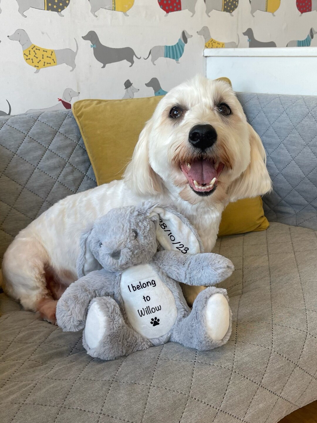 Personalised Dog Toy - Teddy - Puppy Toy- Dog Soft Toy - Plush Teddy ...
