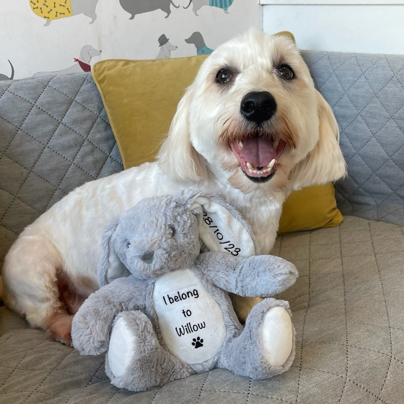 Dog Teddy - Etsy UK