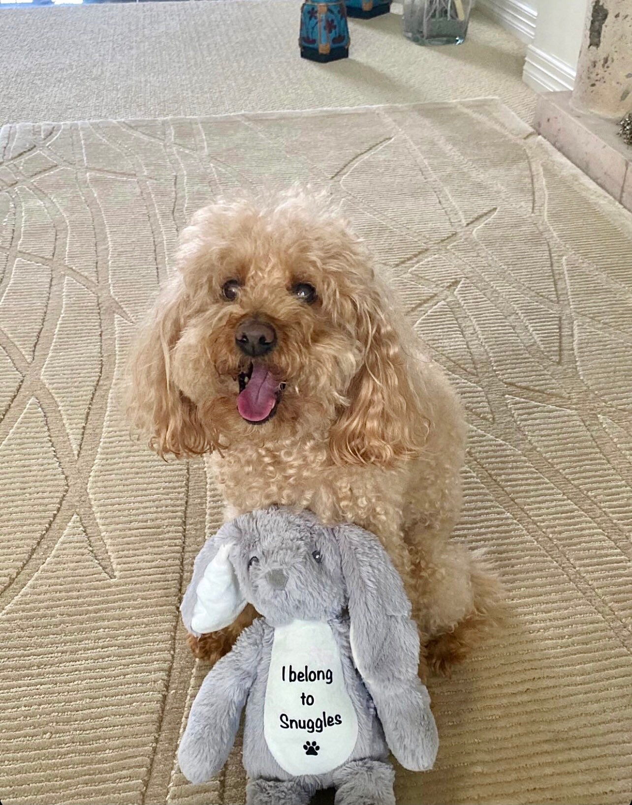 Personalised Dog Toy Teddy Puppy Toy Dog Soft Toy Plush - Etsy UK