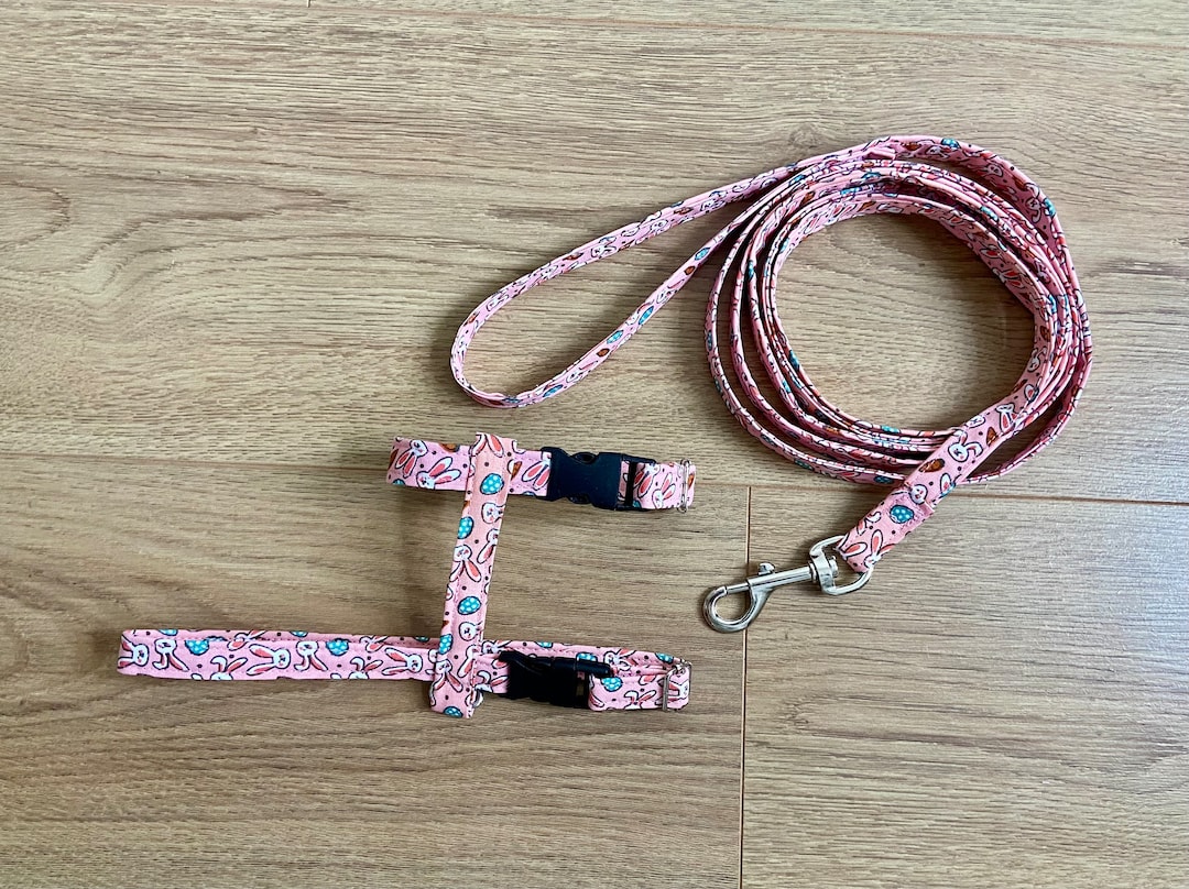 Harness and Leash for Rabbits, Rabbit Harness and Lead, Rabbit Owner ...