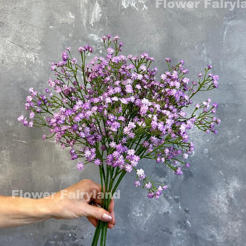 Cake Babys Breath Decor - Etsy