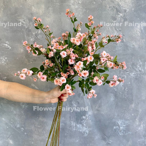 Miniature Roses - Etsy