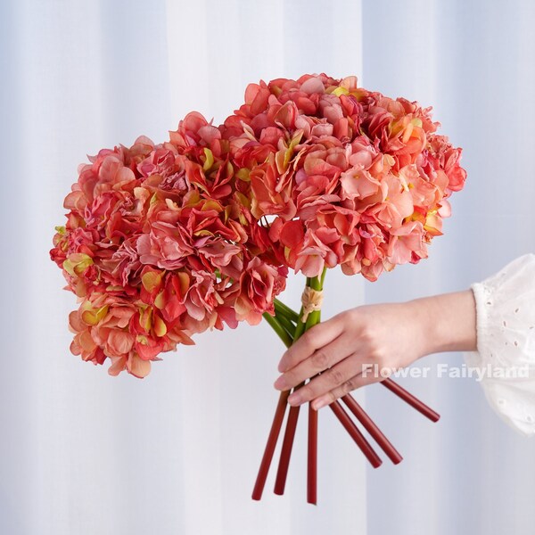 Dried Coral - Etsy