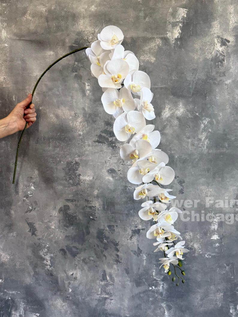 59" Extra Long Real Touch Orchid Stem - Artificial Flower - White - Etsy