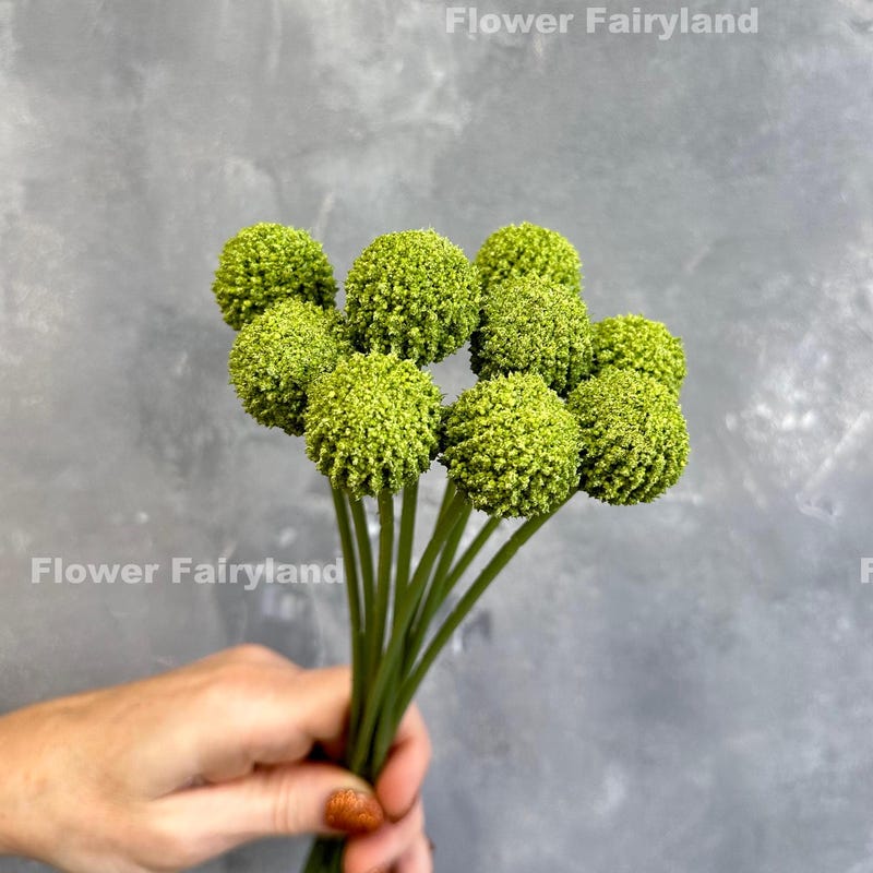 Billy Buttons - Etsy