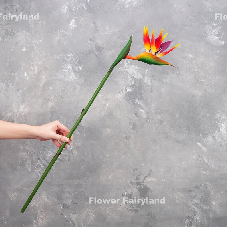 Real Touch Bird of Paradise Flower Stem - Artificial Flower - Reddish ...