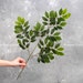 Realistic Ash Branch | High Quality Artificial Plant | DIY Greenery ...