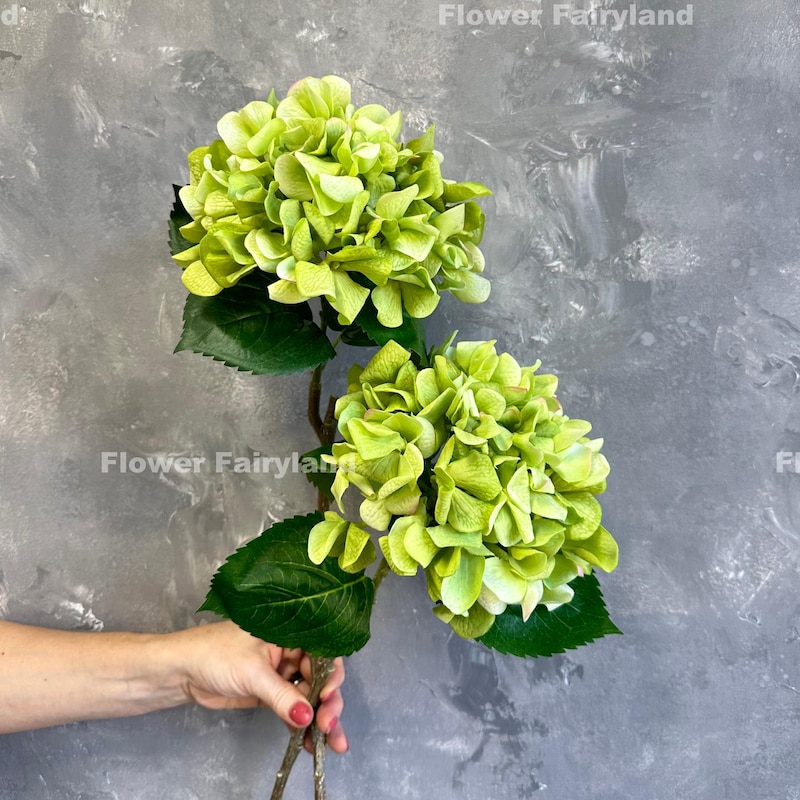 Real Touch Hydrangea - Etsy