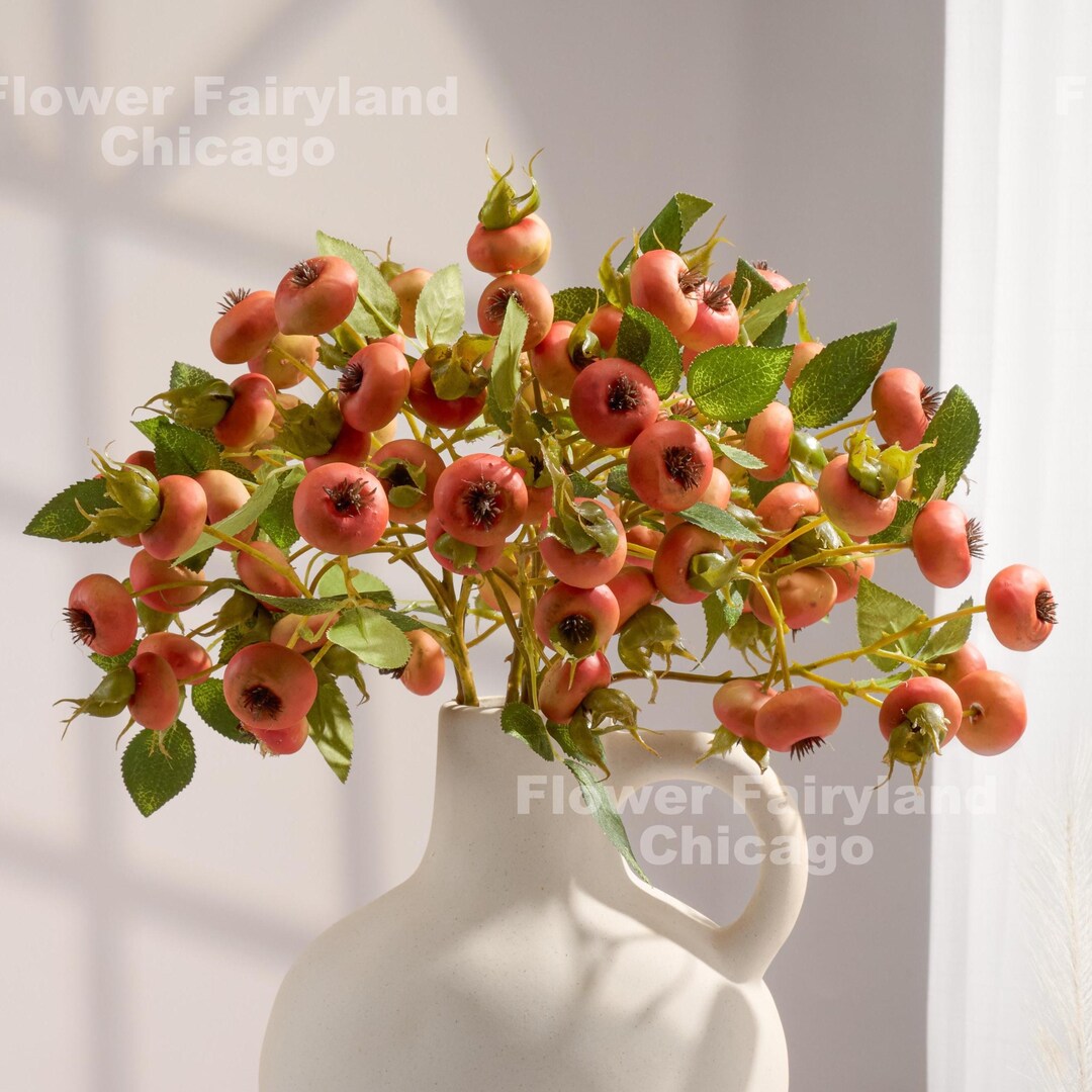 Faux Rose Hips - Orange - Etsy
