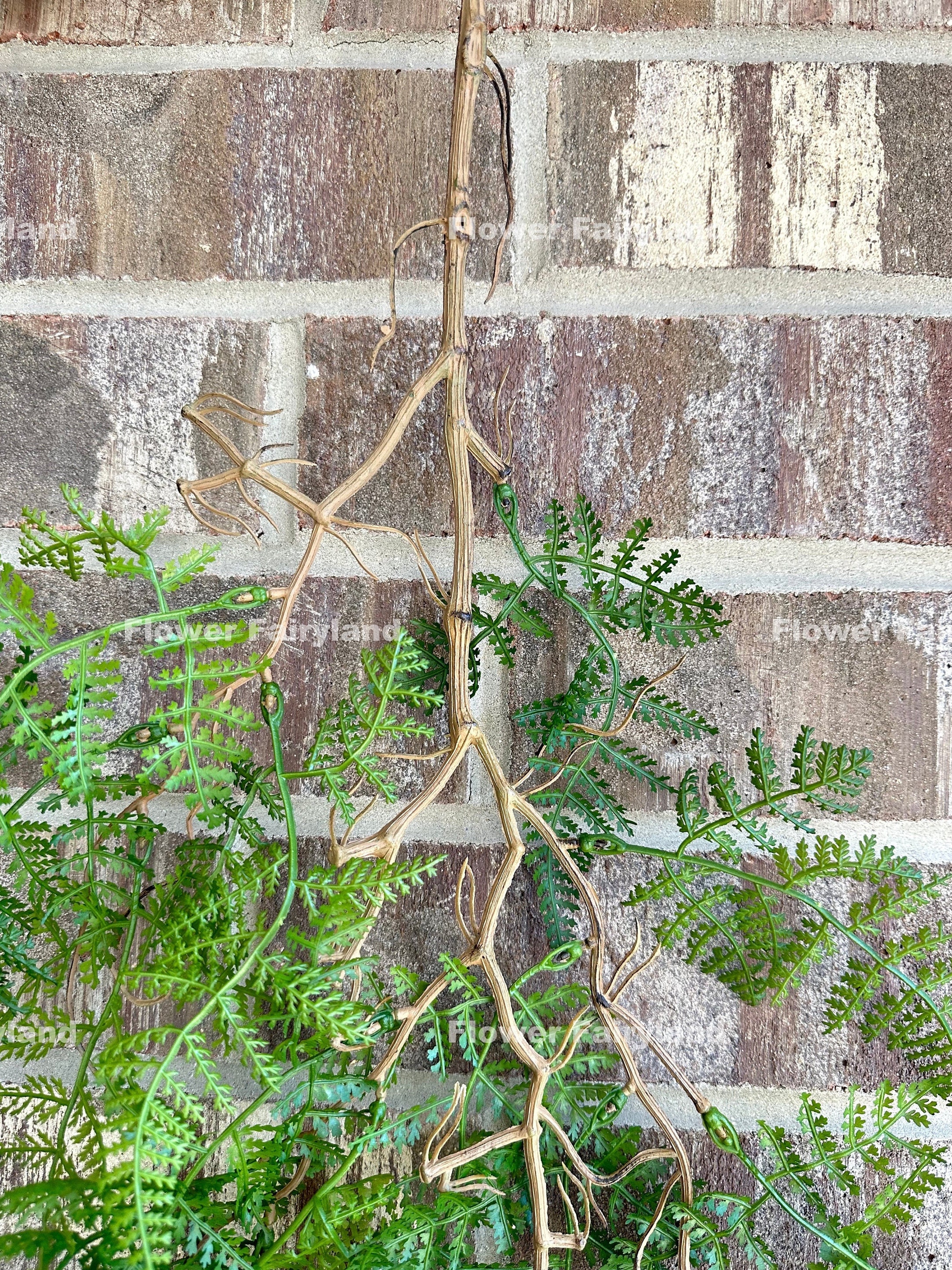 39" Faux Fern Wall Hanging Monachosorum Flagellare - Artificial Plant ...