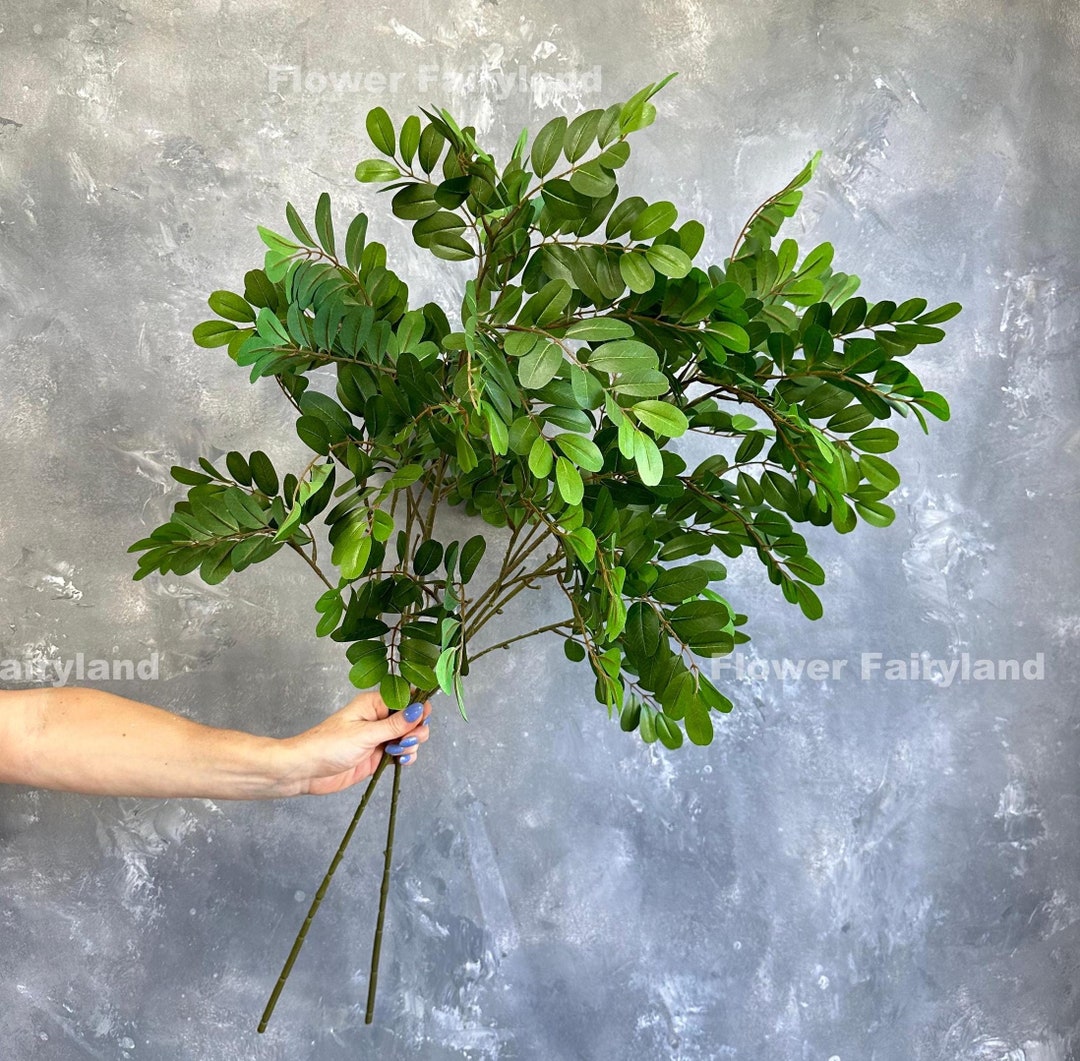 38" Huge Senna Siamea Tree Branch - Artificial Plant - Green - Etsy