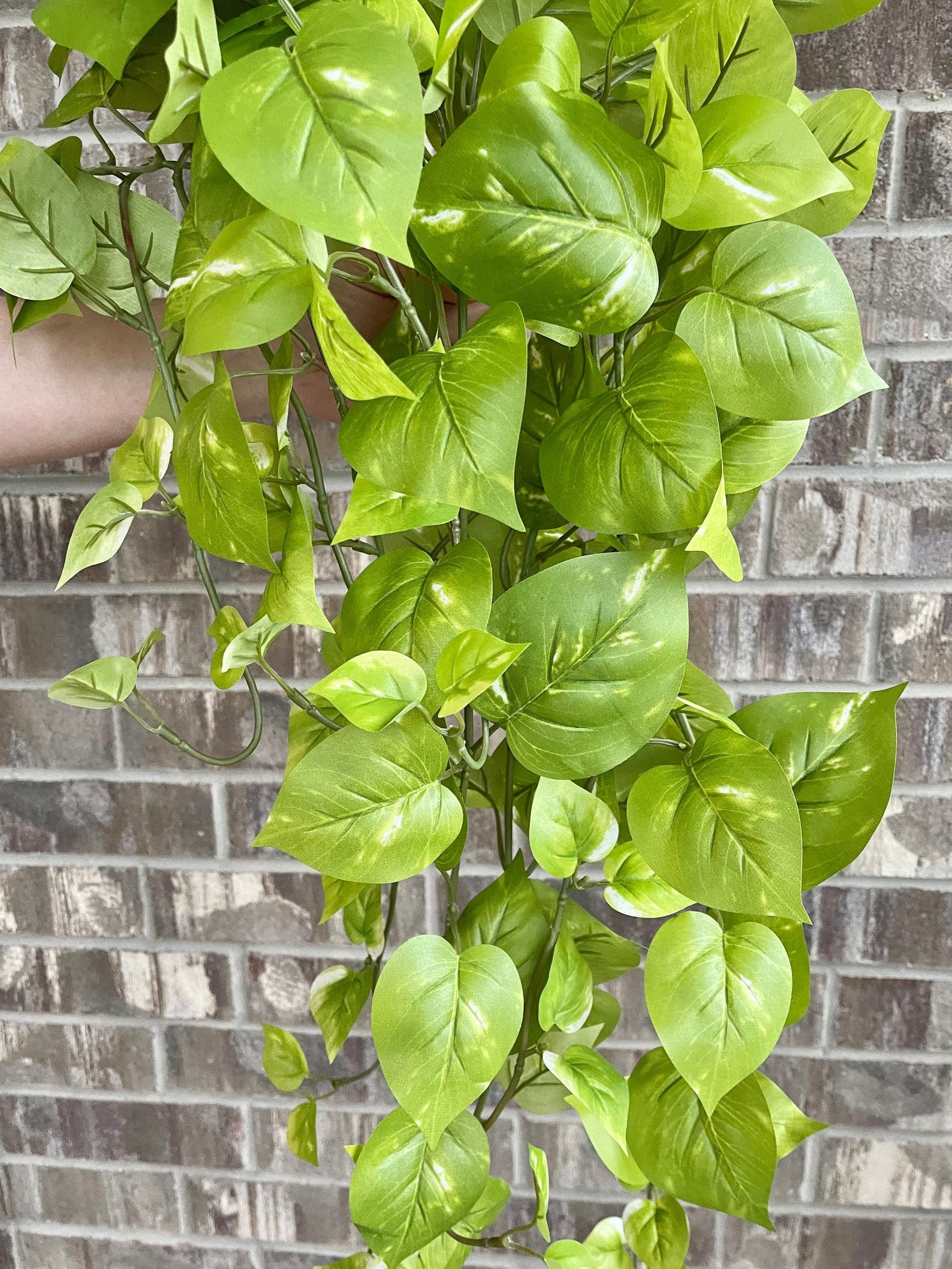 34 Faux Golden Pothos Hanging Plant Hanging Vines High Quality ...