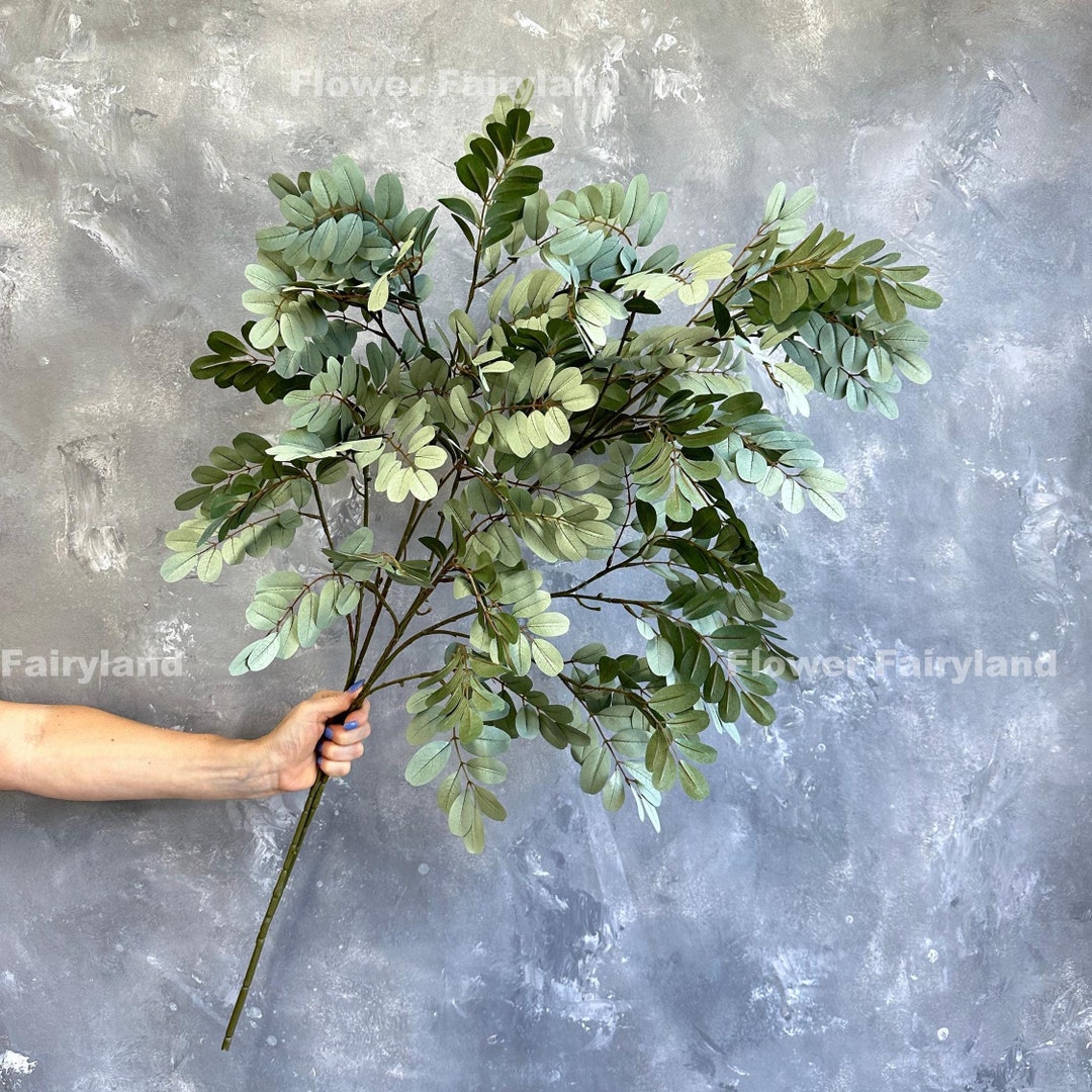 38" Huge Senna Siamea Tree Branch - Artificial Plant - Dusty Green - Etsy
