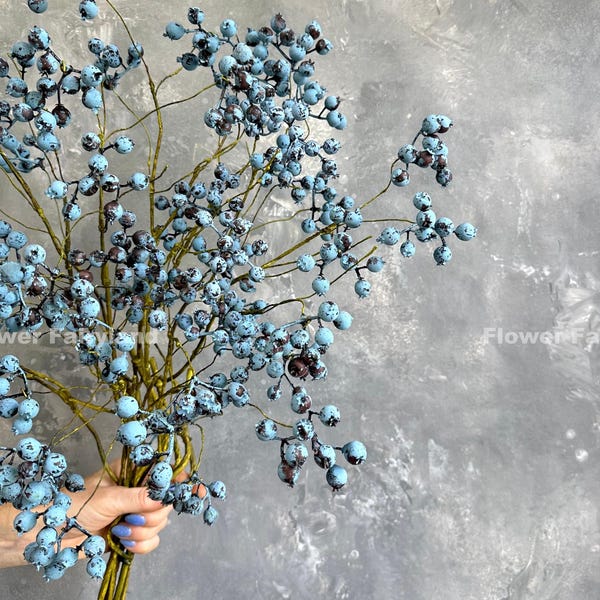Blueberry Branch - Etsy