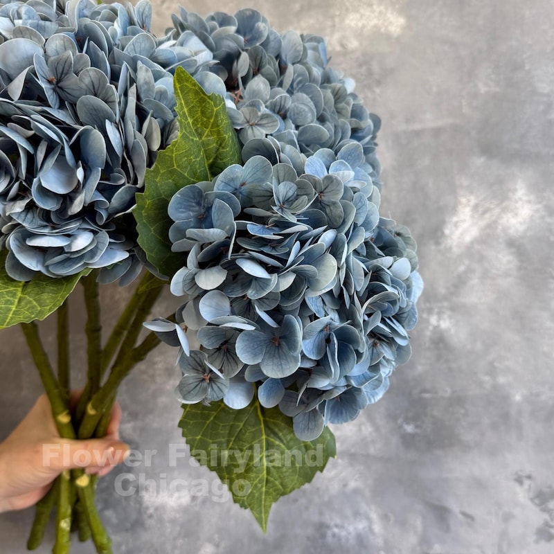 Dried Hydrangea Autumn - Etsy