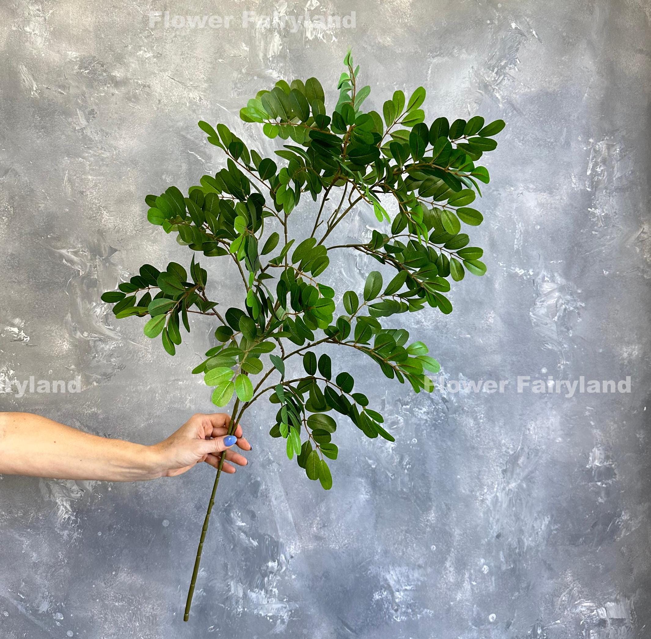 38" Huge Senna Siamea Tree Branch - Artificial Plant - Green - Etsy