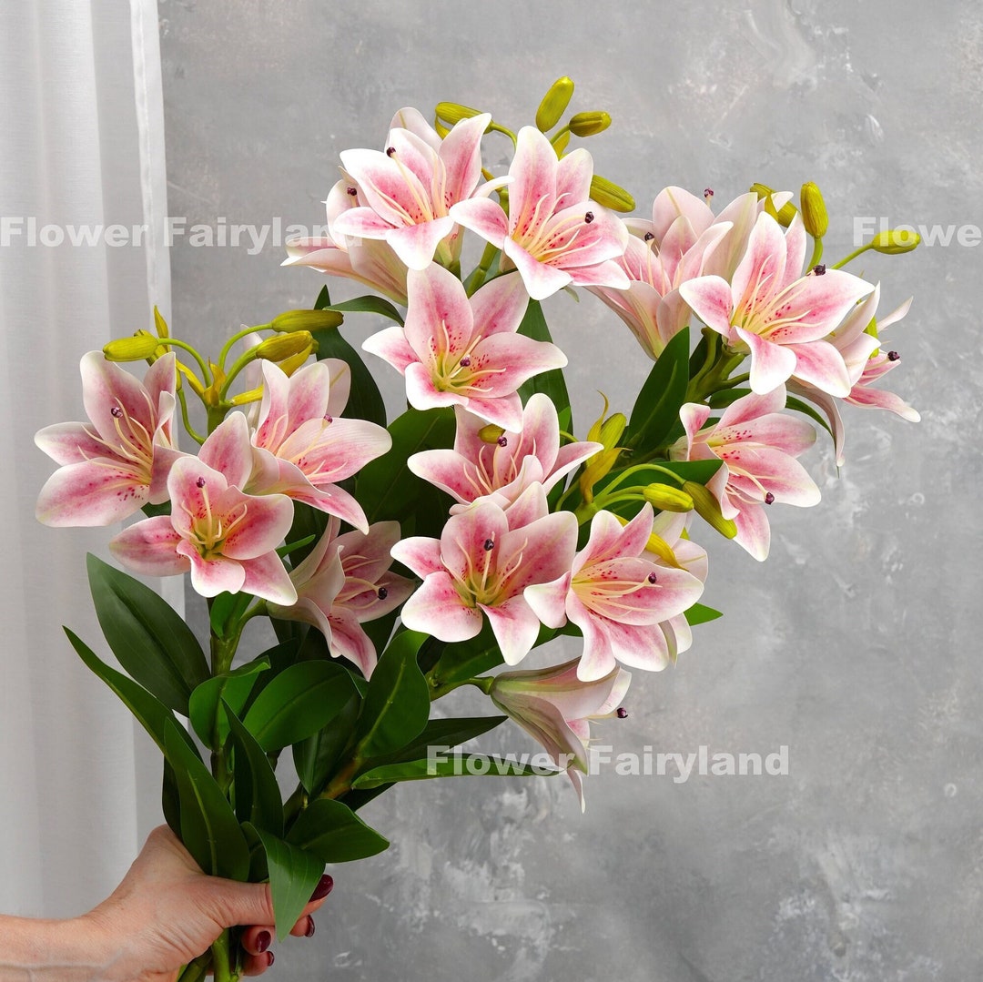 Stargazer Lily Bouquet 5 Heads Stargazer Lily Stem High Quality ...