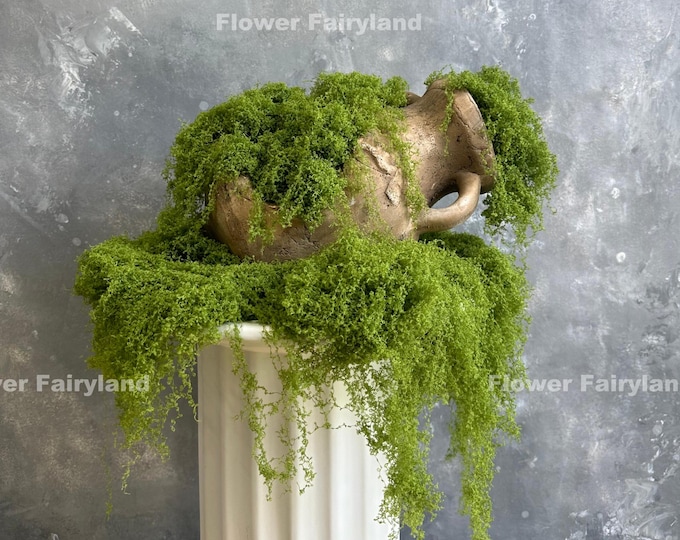 Dusk Moss Mix - Etsy