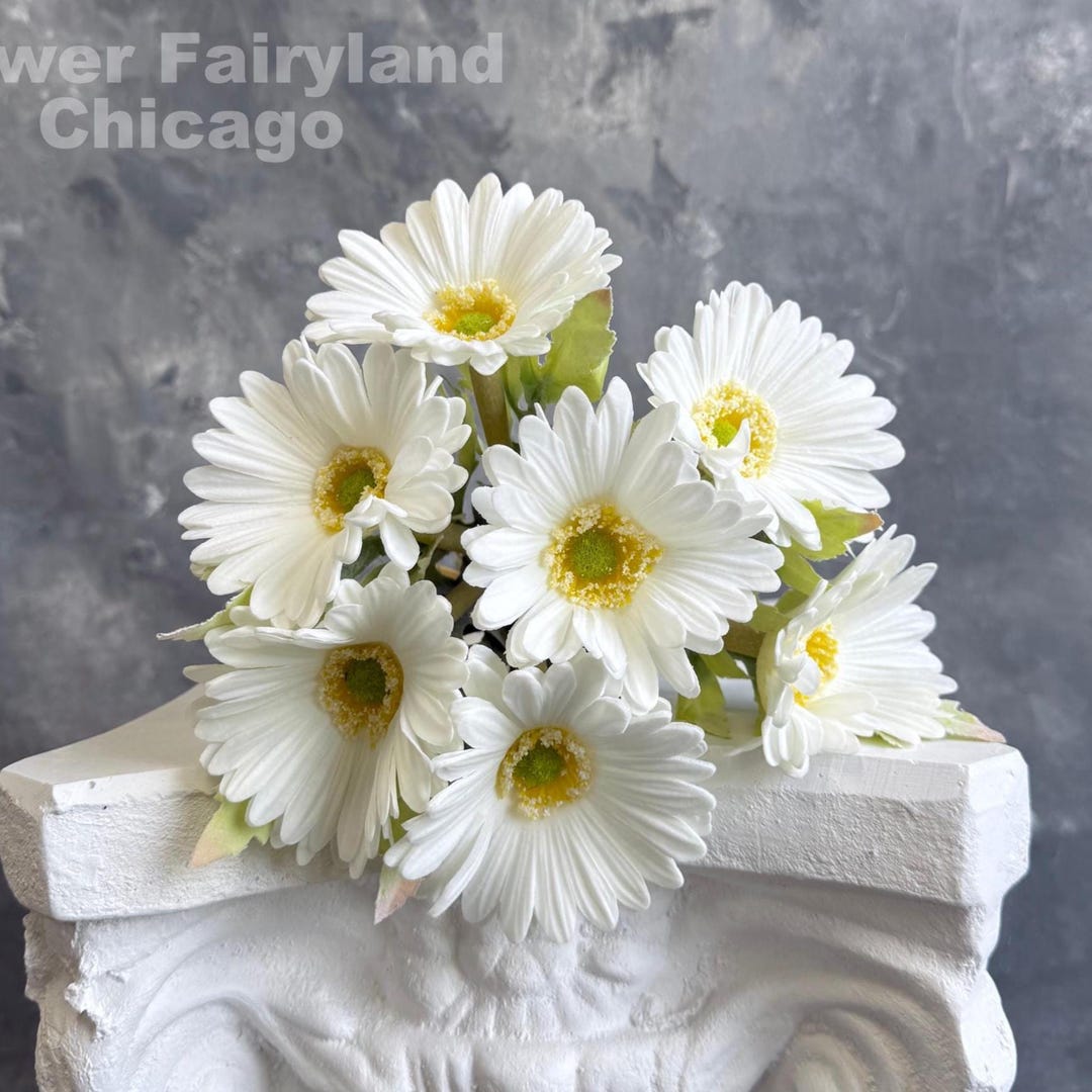 7 Stems Real Touch Gerbera Daisy Bouquet - Artificial Flower - White - Etsy