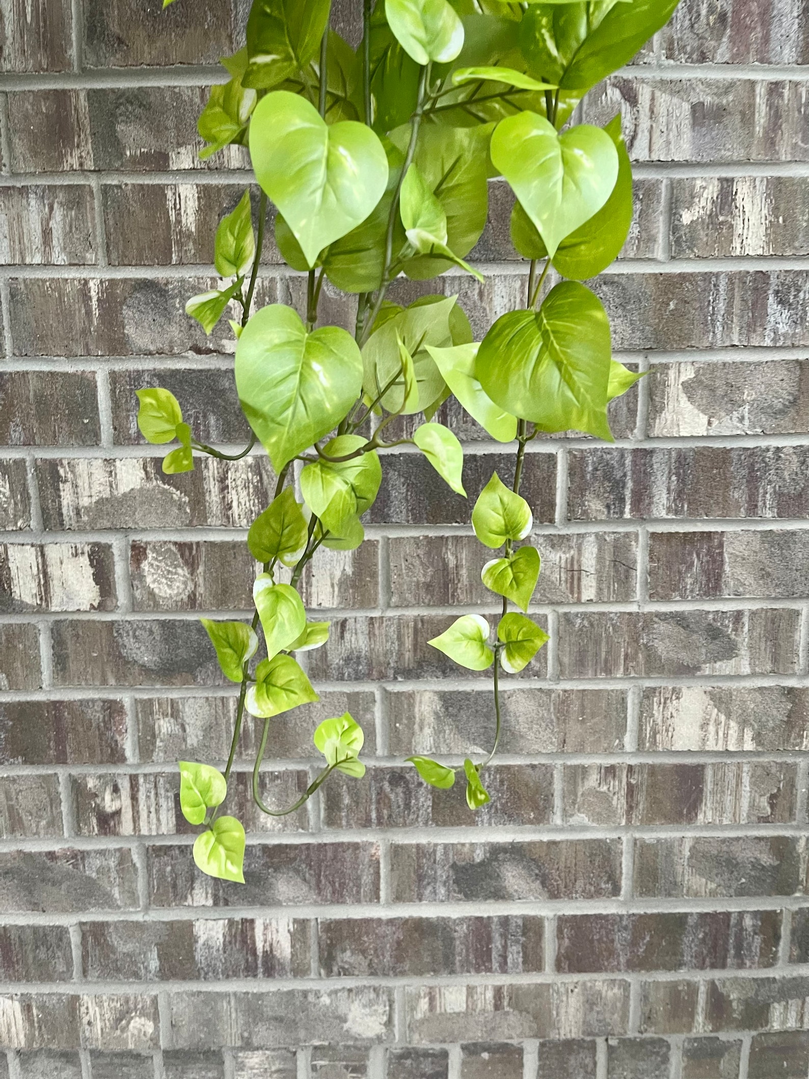 34 Faux Golden Pothos Hanging Plant Hanging Vines High Quality ...