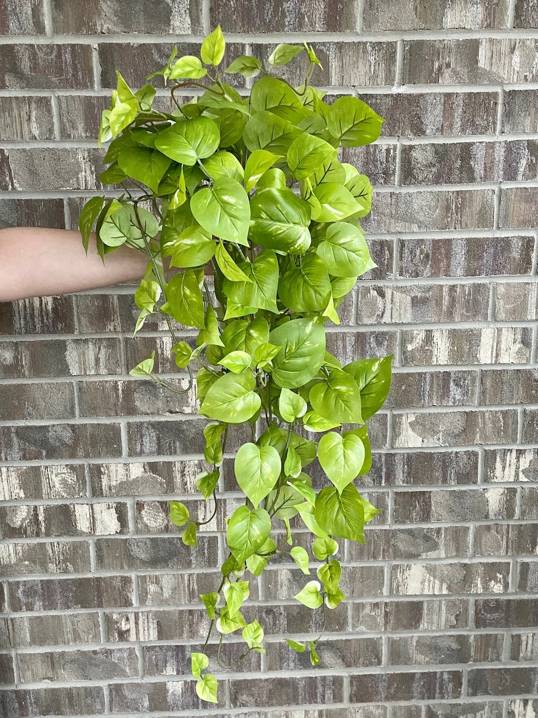 34" Faux Golden Pothos Hanging Plant | Hanging Vines | High Quality ...