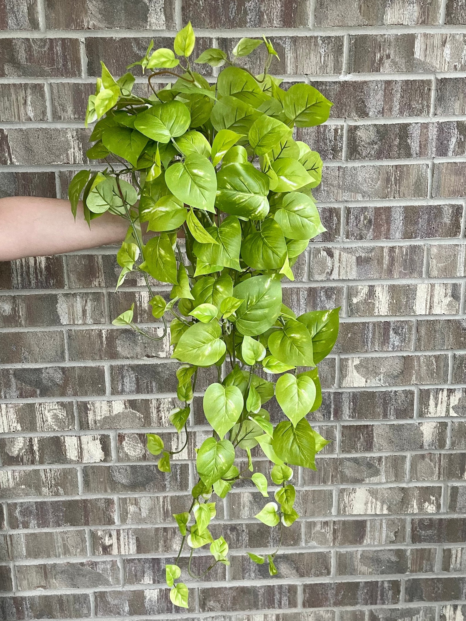34 Faux Golden Pothos Hanging Plant Hanging Vines High Quality ...