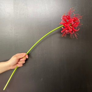 26" Faux Red Spider Lily Stem - Artificial Flower - Red - Etsy