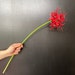 26" Faux Red Spider Lily Stem - Artificial Flower - Red - Etsy