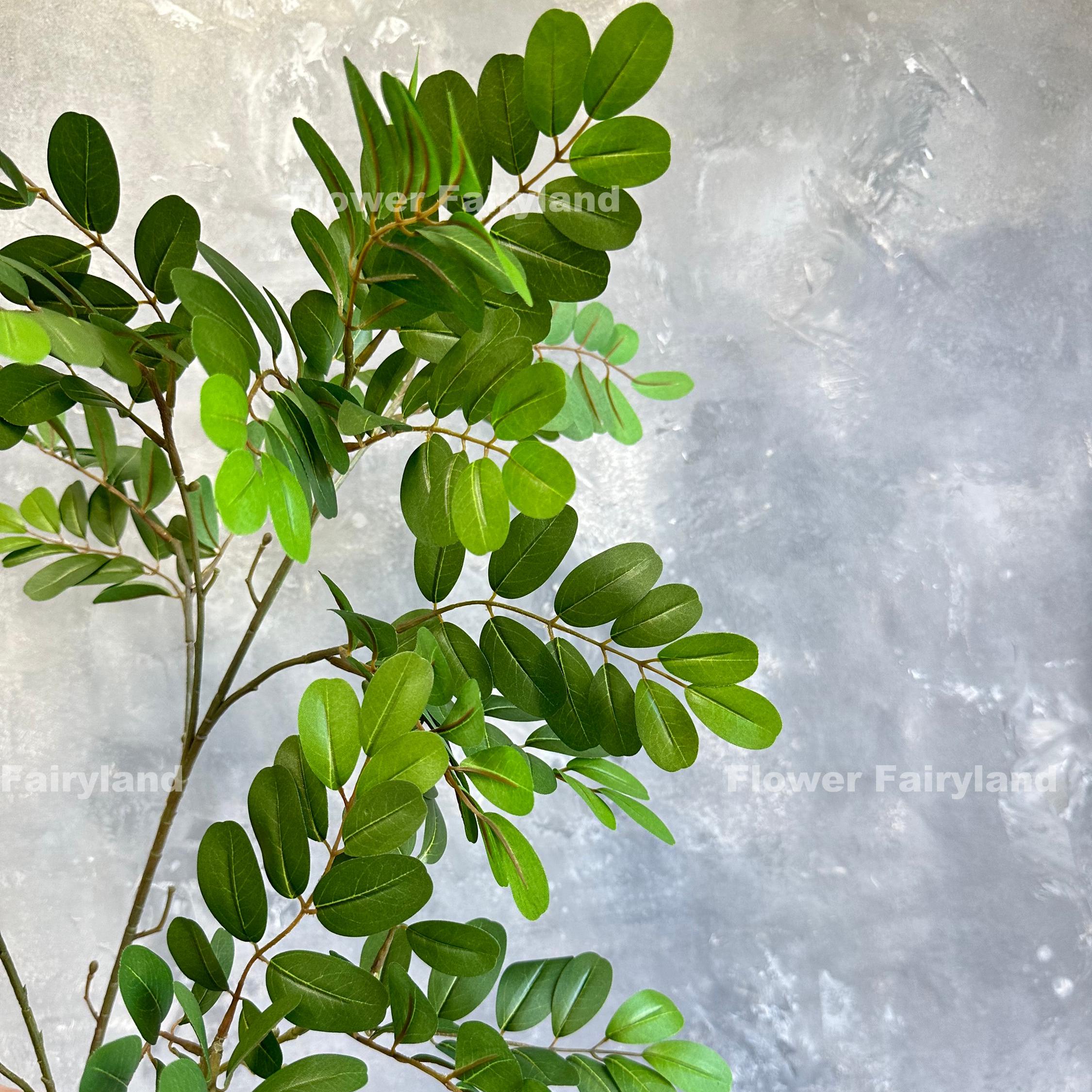 38" Huge Senna Siamea Tree Branch - Artificial Plant - Green - Etsy