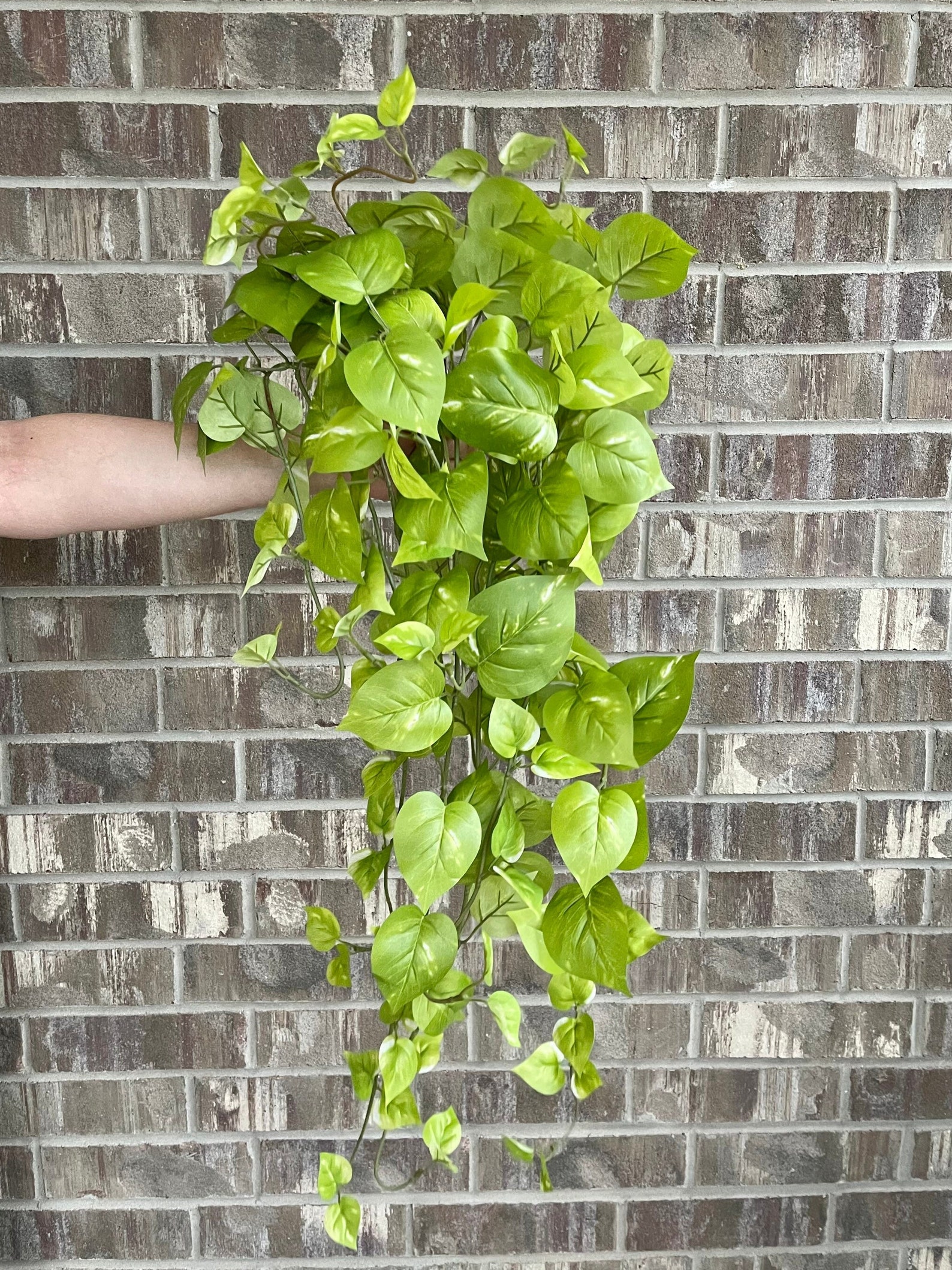 34 Faux Golden Pothos Hanging Plant Hanging Vines High Quality ...