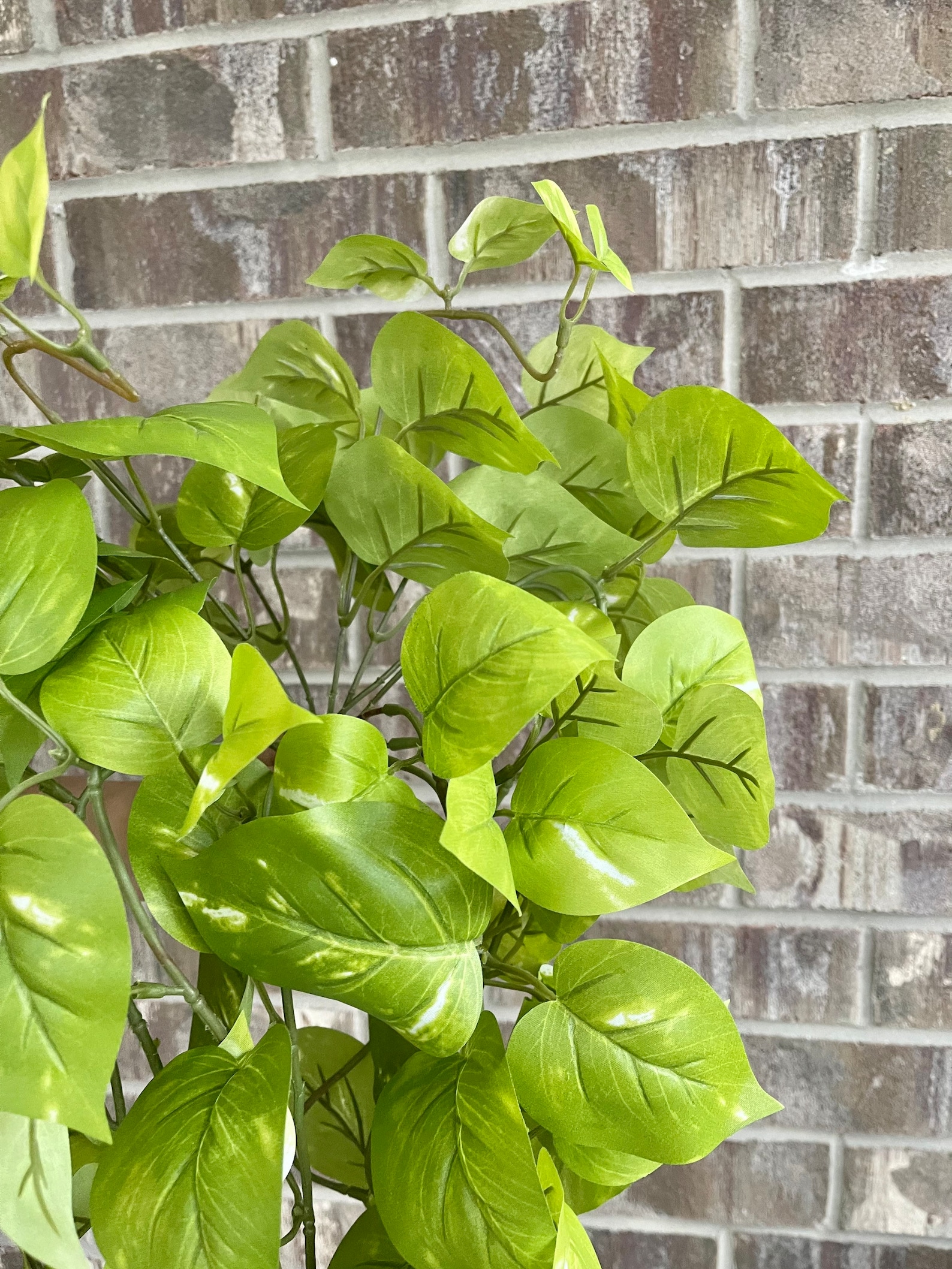 34 Faux Golden Pothos Hanging Plant Hanging Vines High Quality ...