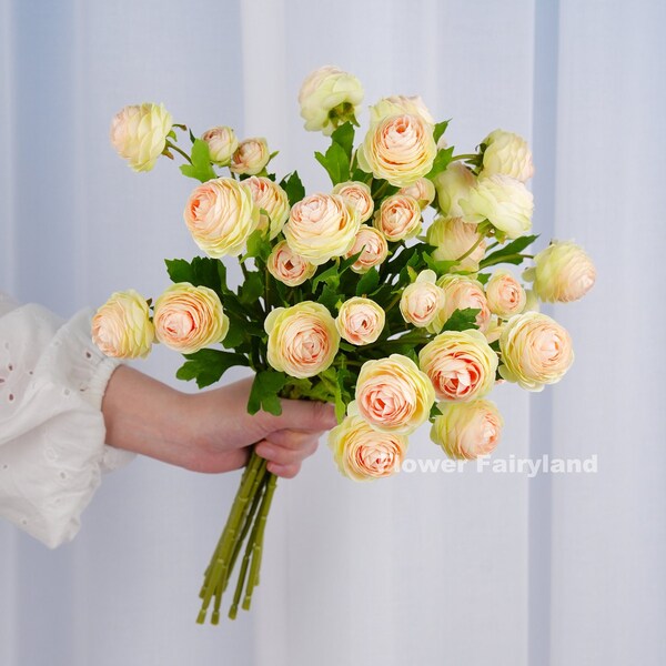 Peach Ranunculus - Etsy