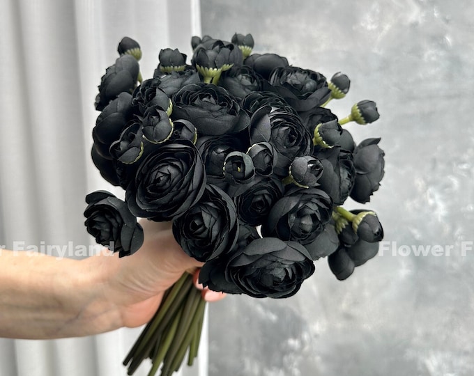 Ranunculus Amandine Black - 10 Corms - Black Persian Buttercups - Etsy