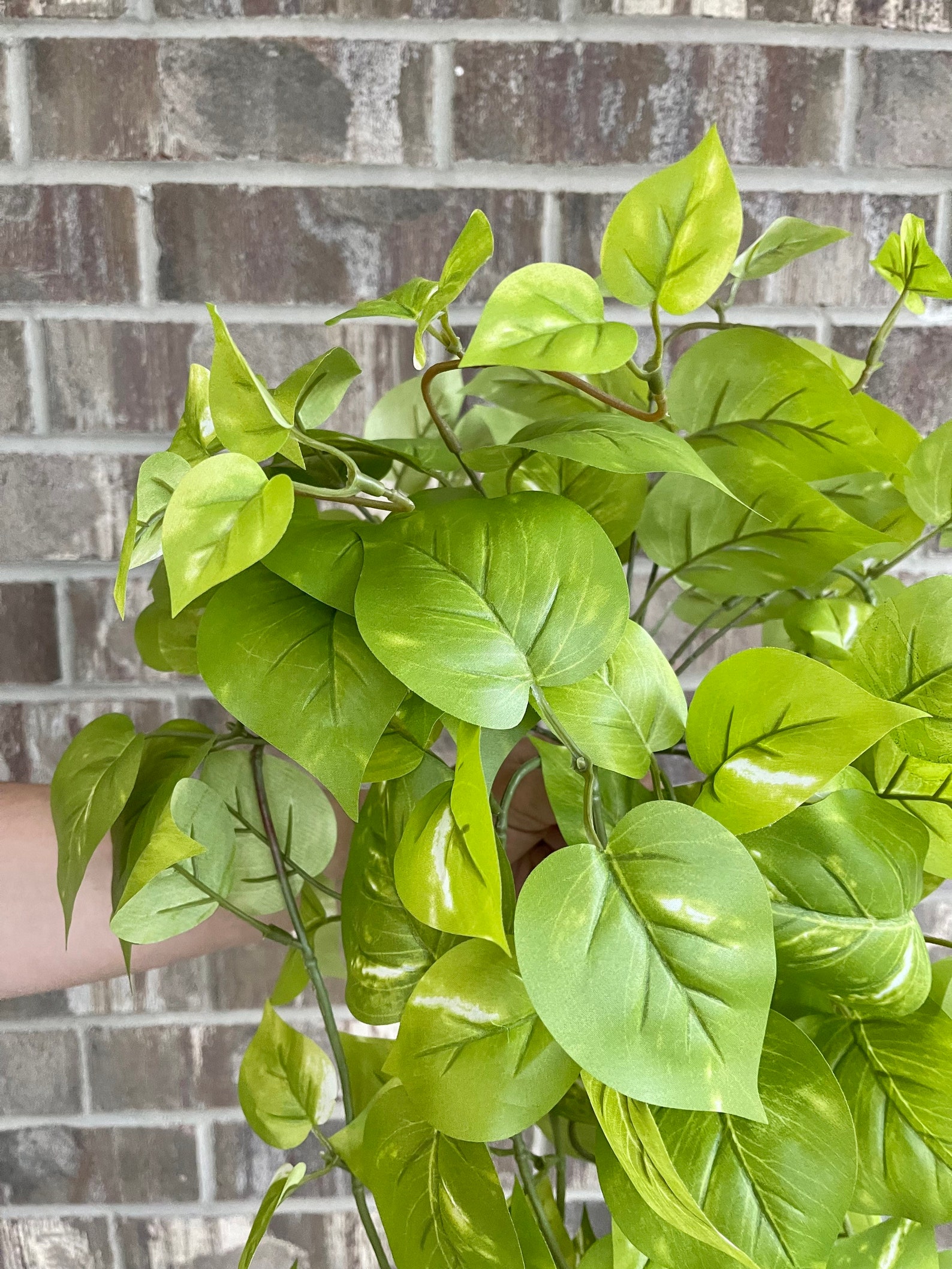 34 Faux Golden Pothos Hanging Plant Hanging Vines High Quality ...