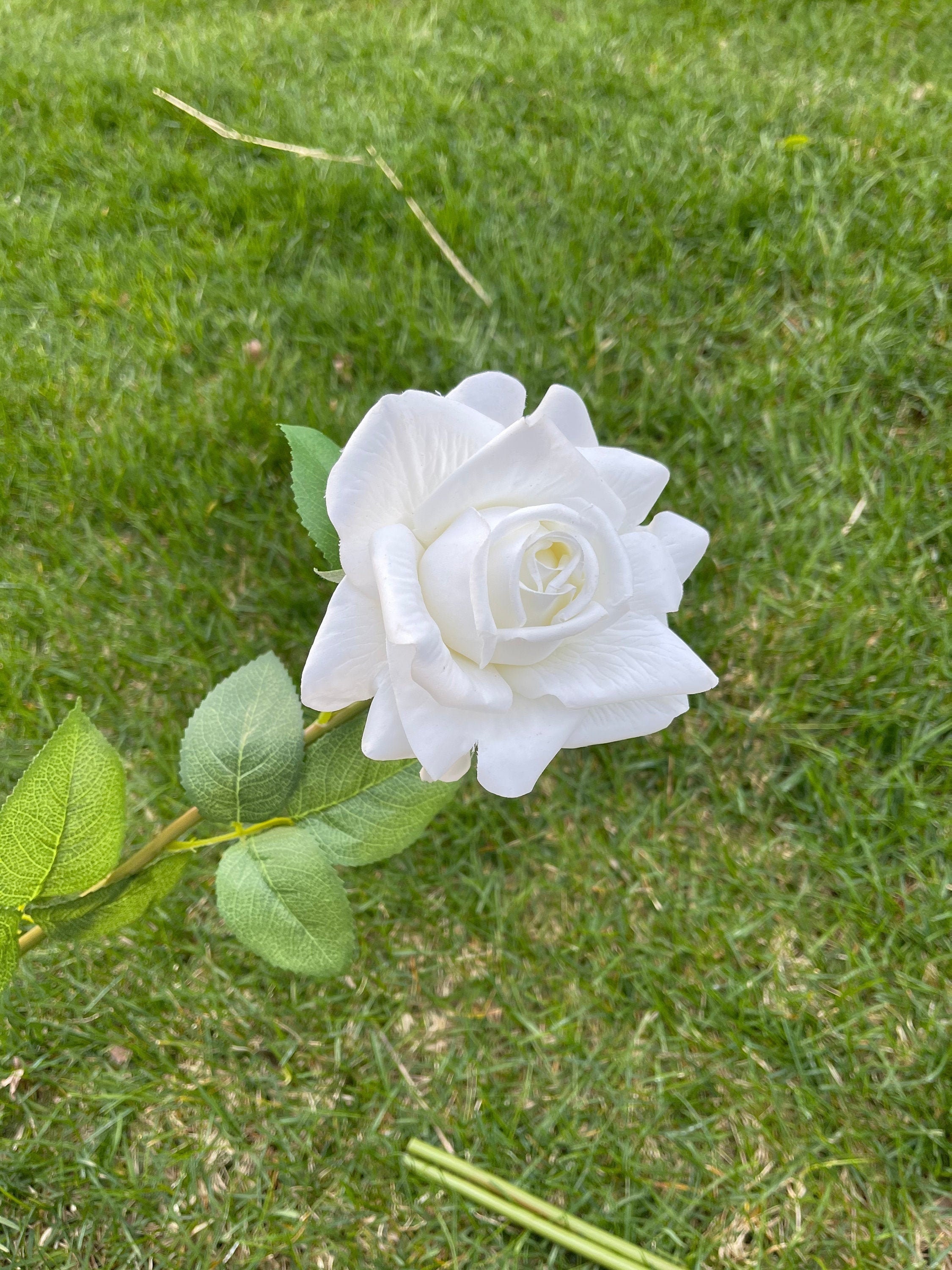 30 Huge Real Touch Latex Rose High Quality Artificial - Etsy