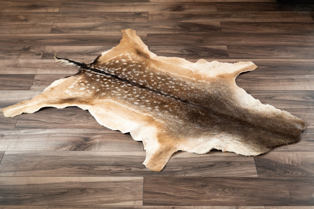 European Fallow Deer Hide - Etsy